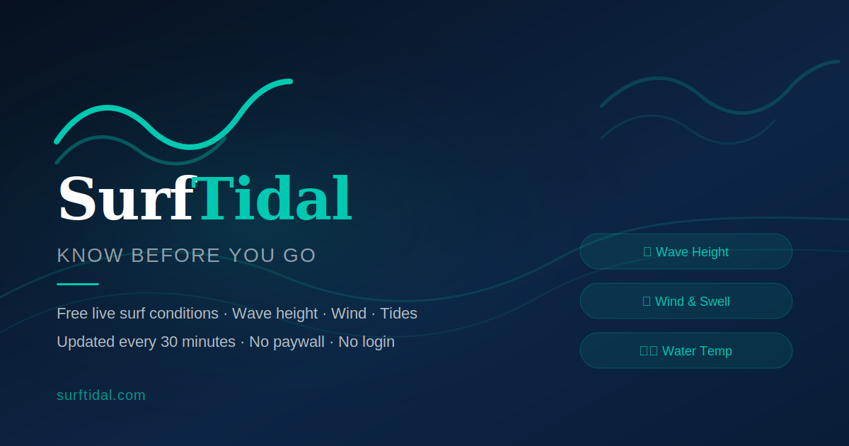 Ocean Name Generator — 500+ Sea & Ocean Inspired Names | SurfTidal